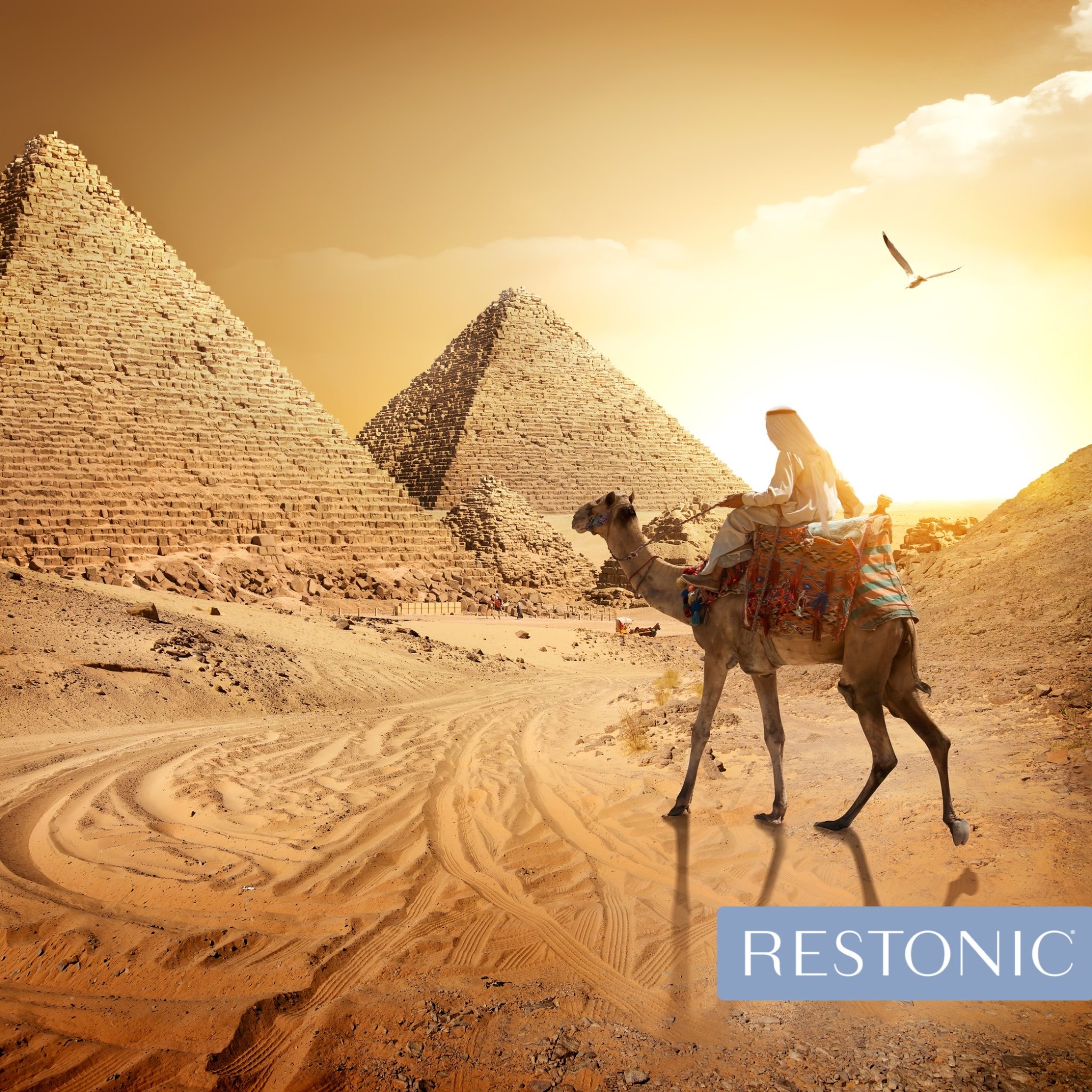 Famous Lovers Who Should Have Slept More - Restonic