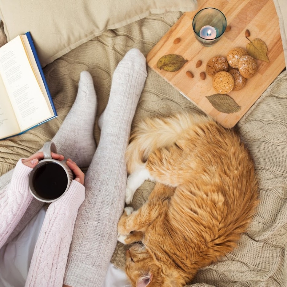 How Eating In Bed Affects Sleep - Restonic