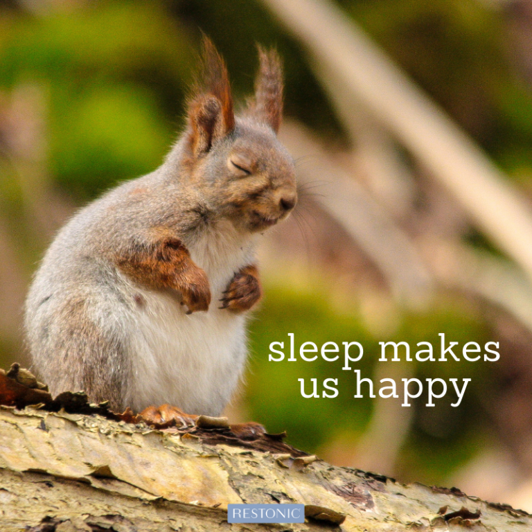 Crazy Sleep Facts About Sleep from Around the World - Restonic