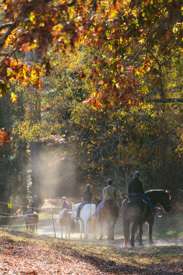 Want Better Sleep? Look to the Beautiful Grounds of Biltmore® for ...